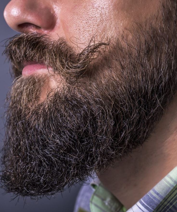 13 fotos de hombres con Barba de cola de pato o barba ducktail ...